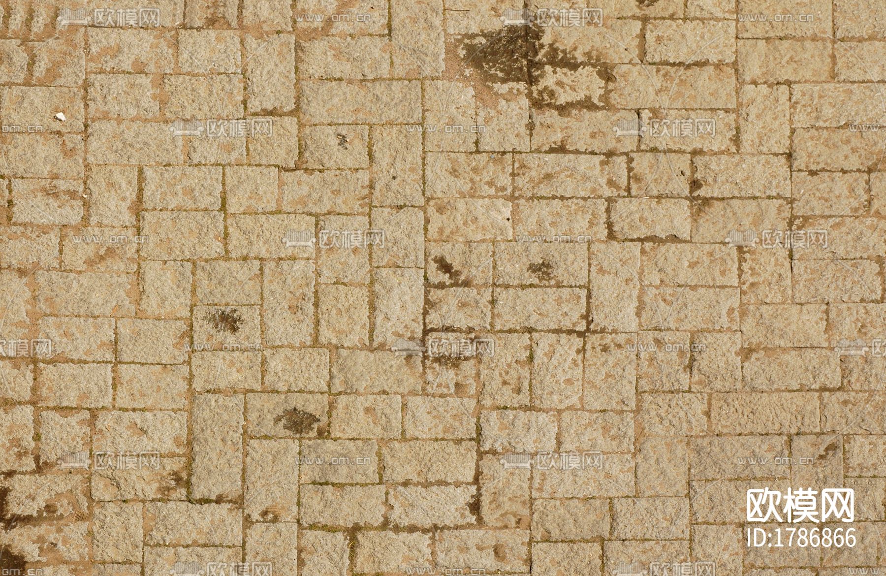 户外地砖-免费3dmax模型库-欧模网