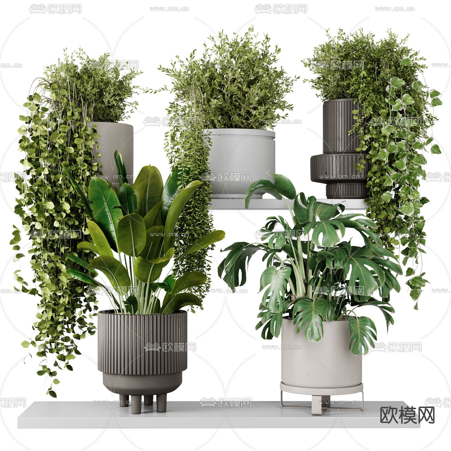 现代绿植盆栽 盆景3d模型下载_ID12116842_3dmax免费模型-欧模网