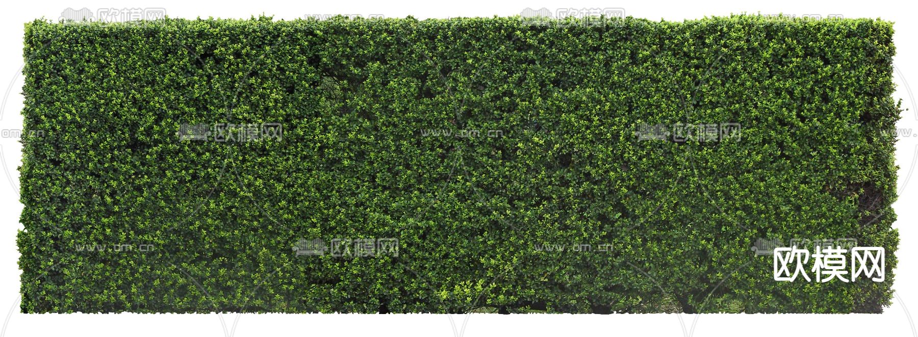 现代黄杨篱笆灌木psd下载_ID12131300_3dmax免费模型-欧模网