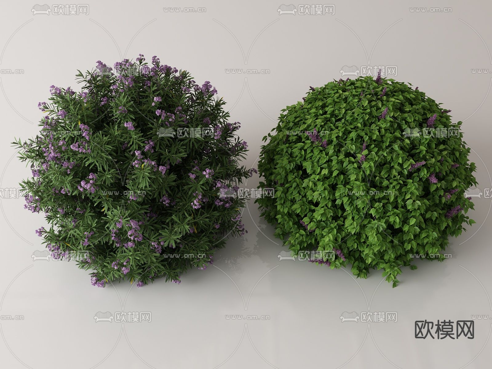 绿植花丛 花簇 花草su模型下载_ID13055889_sketchup模型下载-欧模网