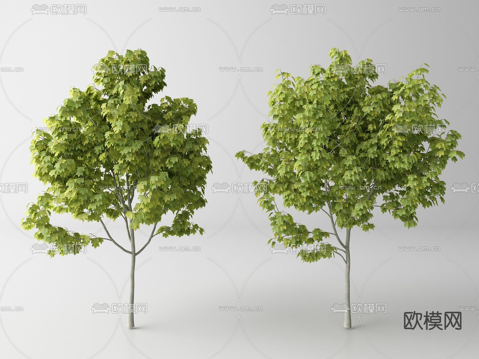 现代景观树 树木su模型下载_ID14051535_sketchup模型下载-欧模网