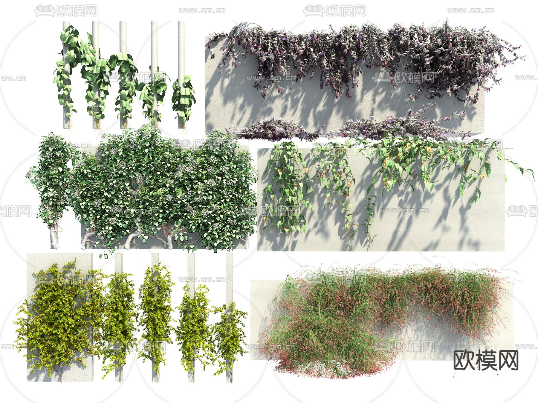 藤蔓 植物 爬墙虎su模型下载_ID14226714_sketchup模型下载-欧模网