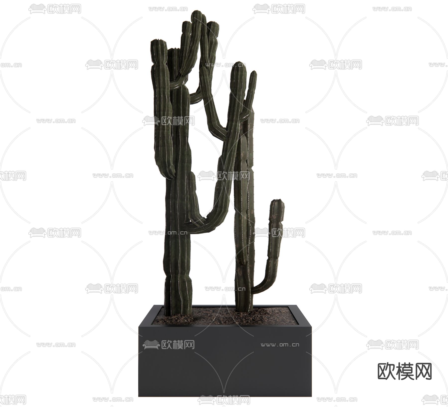 仙人掌盆栽su模型下载_ID14243434_sketchup模型下载-欧模网