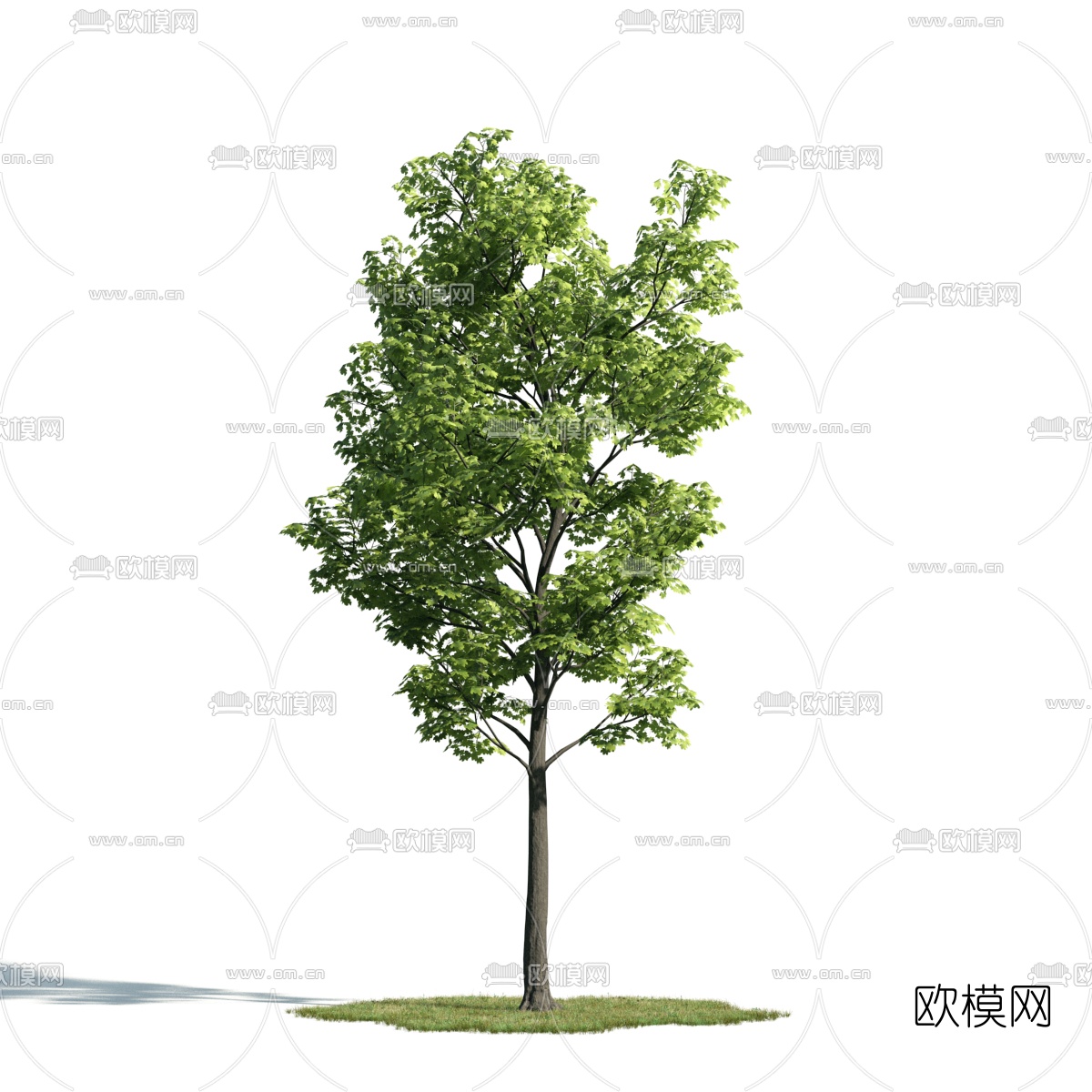 现代室外树3D模型下载_ID10010348_3dmax免费模型-欧模网