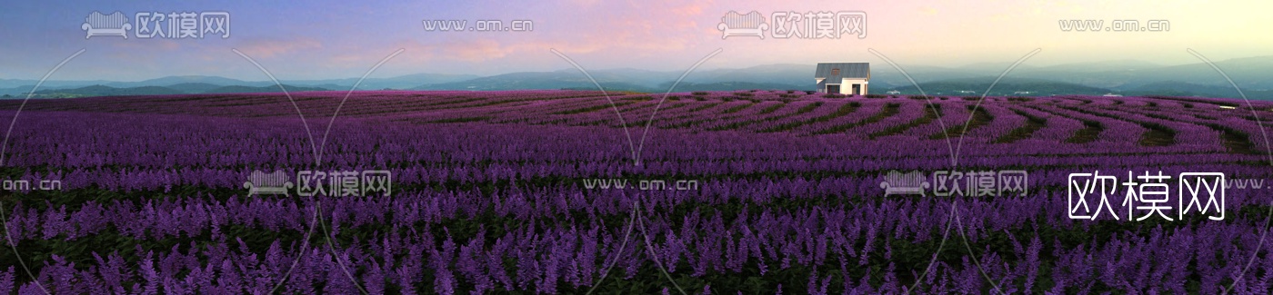 现代薰衣草花田3d模型下载_ID10293870_3dmax免费模型-欧模网